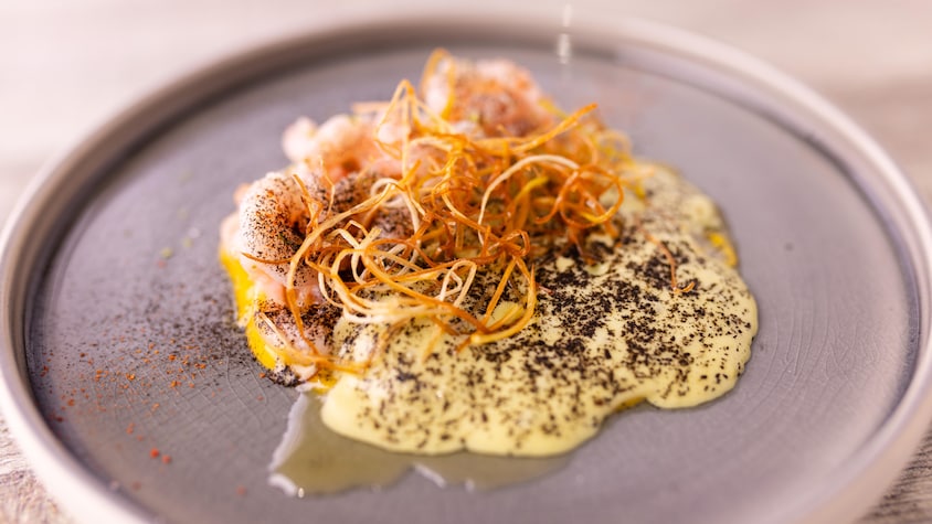 Crevettes nordiques, poireaux 4 façons et émulsion de mangue | Mordu