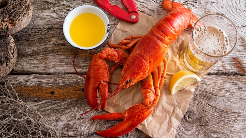 Comment cuire le homard? | Mordu