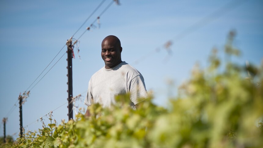 Steve Byfield, passer du jazz au vin | Mordu