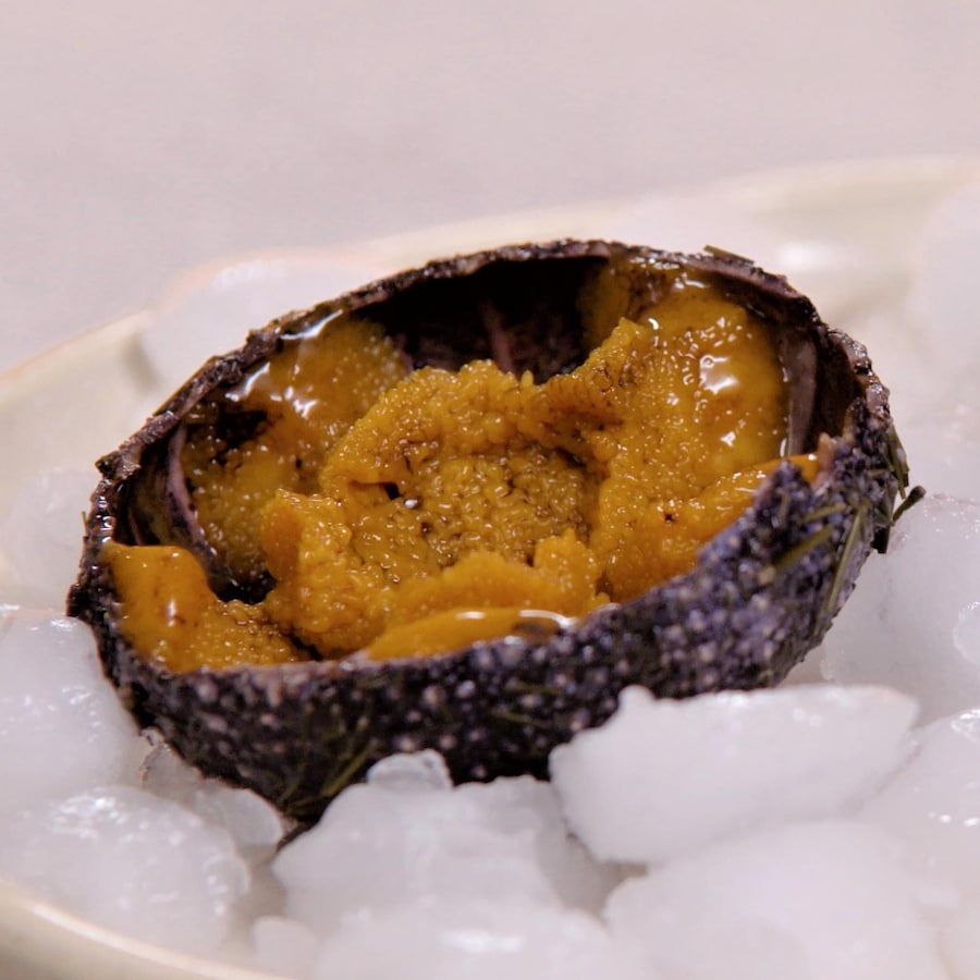 Plats Principaux : Recettes Simples ou Gourmandes | Mordu