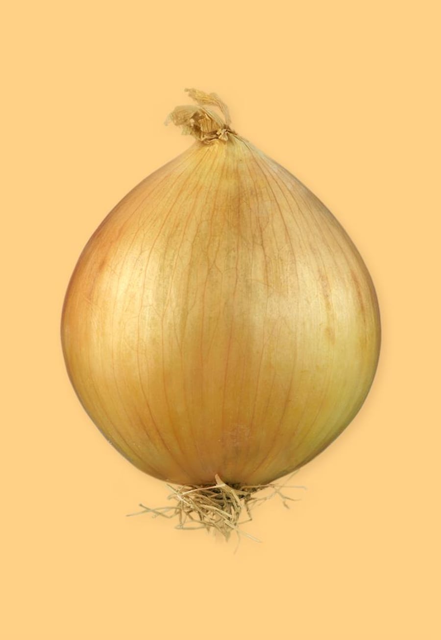 Idées Recettes Lunchs et Boîtes à Lunch | Mordu