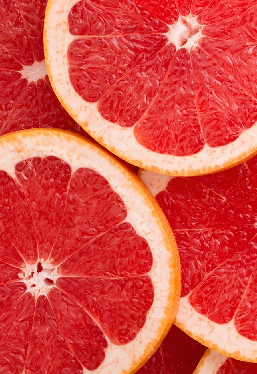 Pamplemousse | Mordu