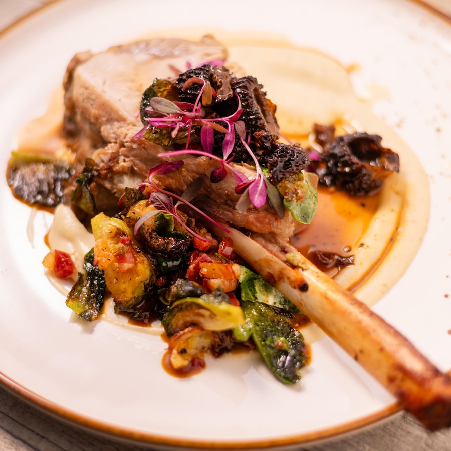 Plats Principaux : Recettes Simples ou Gourmandes | Mordu