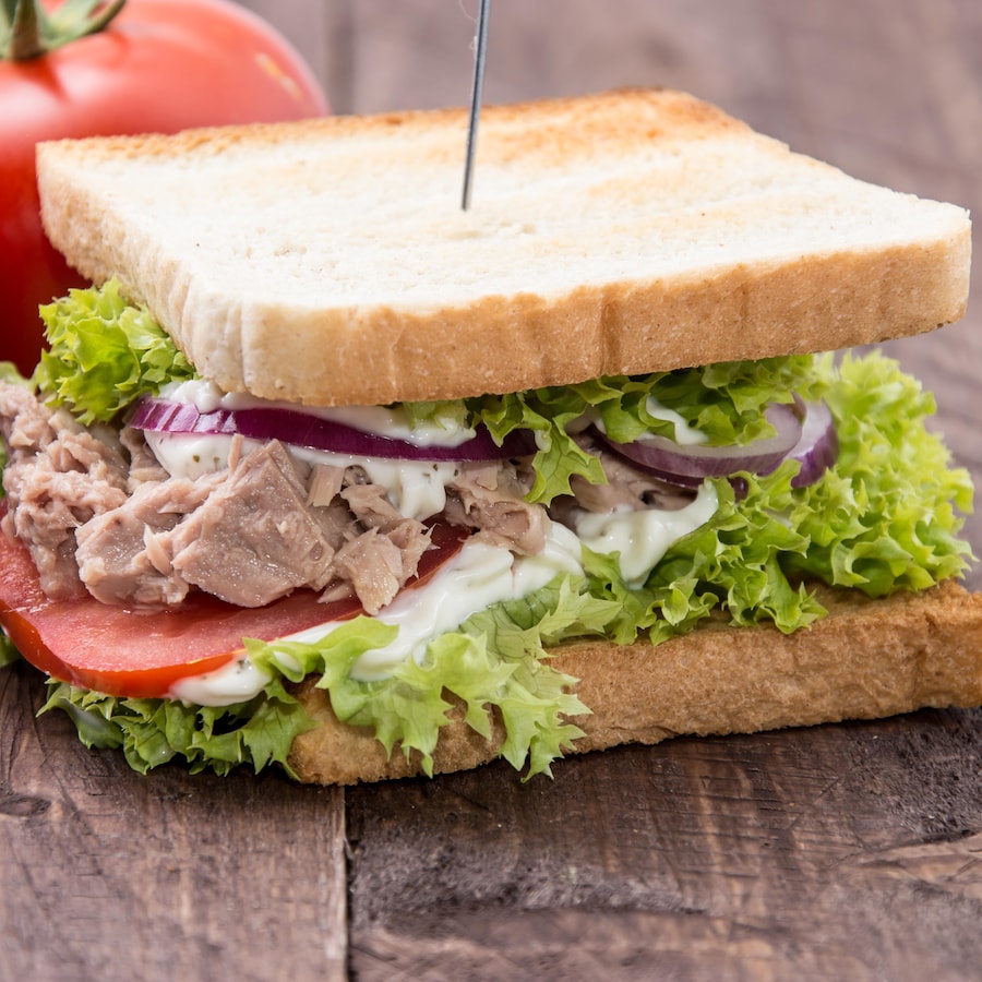 Sandwichs pour Lunchs pas Plates | Mordu