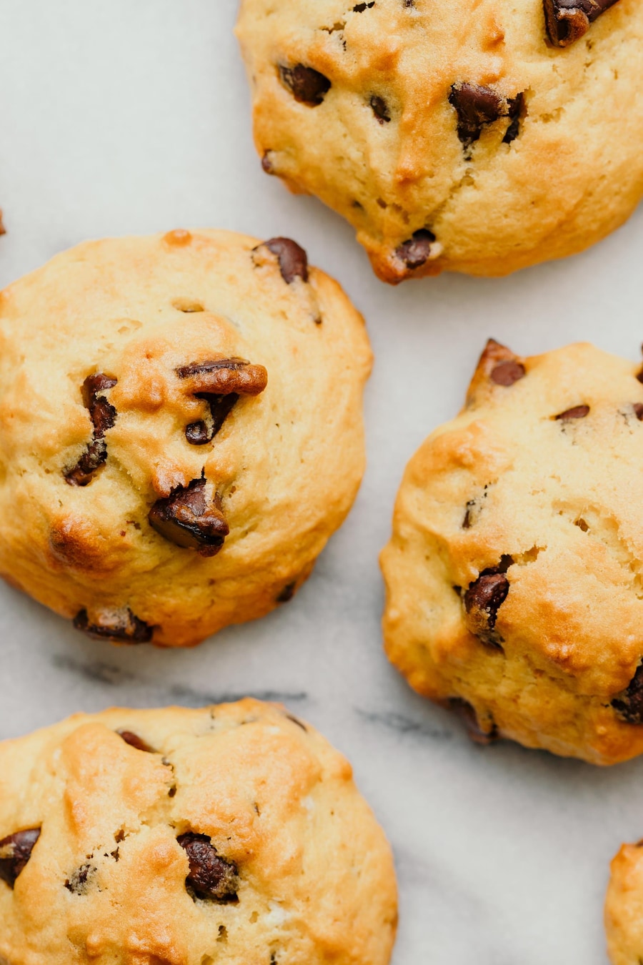Décadents Biscuits, Carrés et Galettes | Mordu
