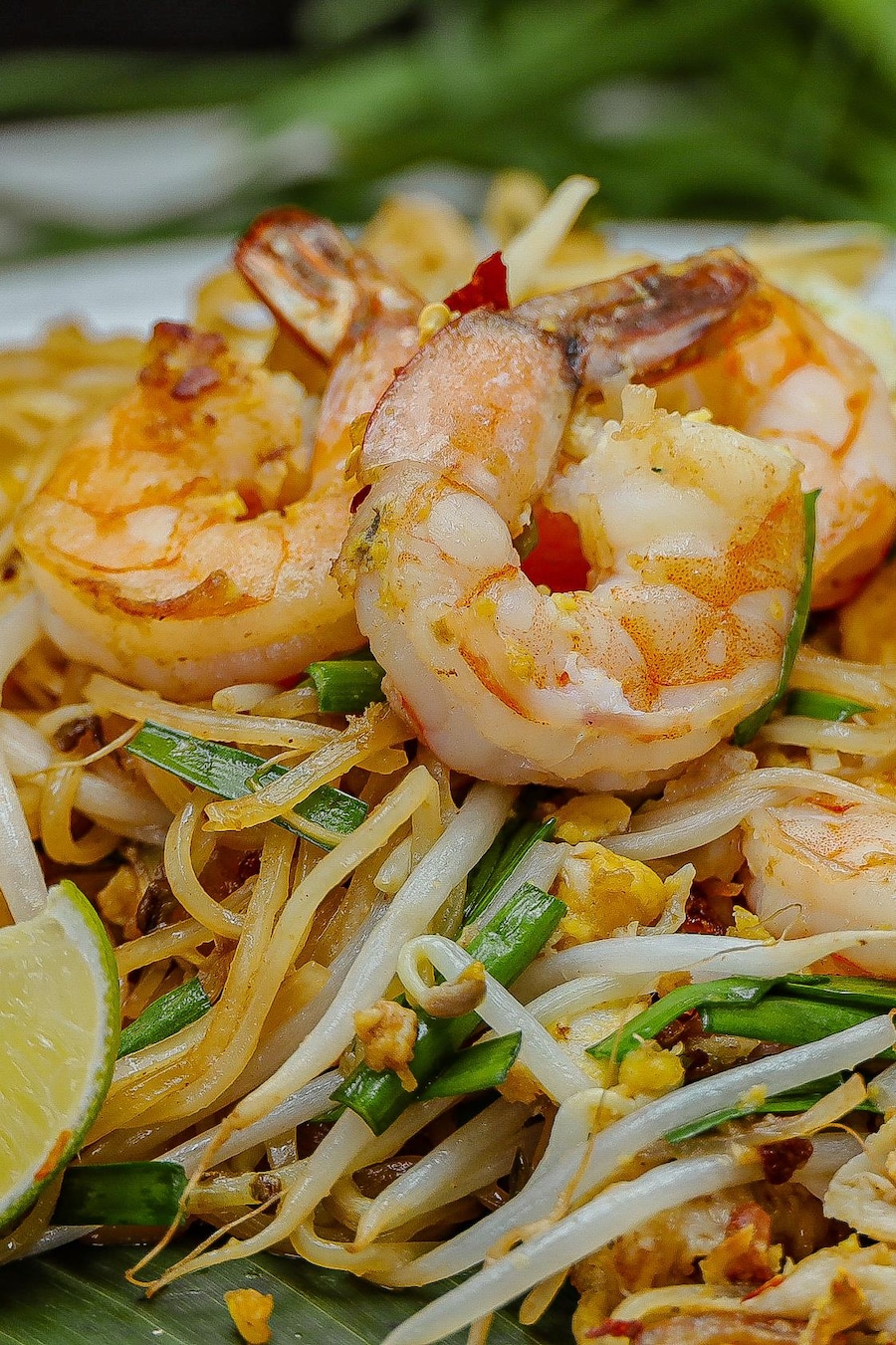 Cuisine Thaïe | Mordu