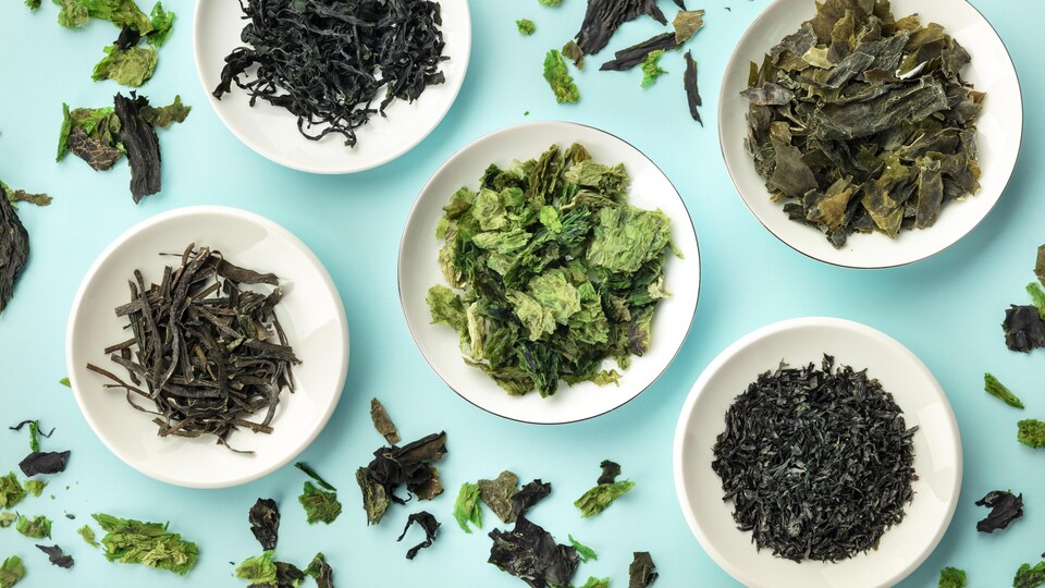 Les bienfaits des algues dans notre assiette