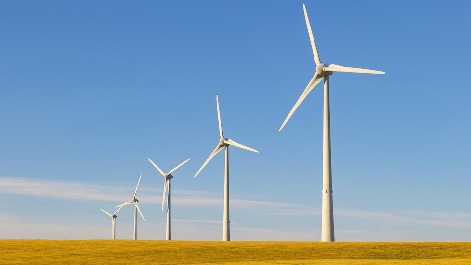 Énergie renouvelable : quand la taille de l'éolienne fait la différence
