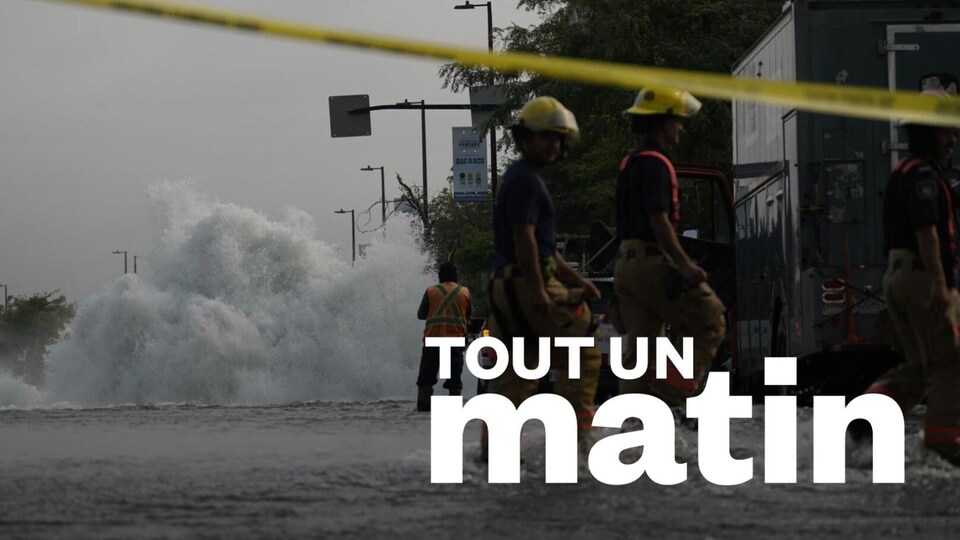 « En 25 ans, je n’ai jamais vu un geyser comme ça » – le porte-parole à ...