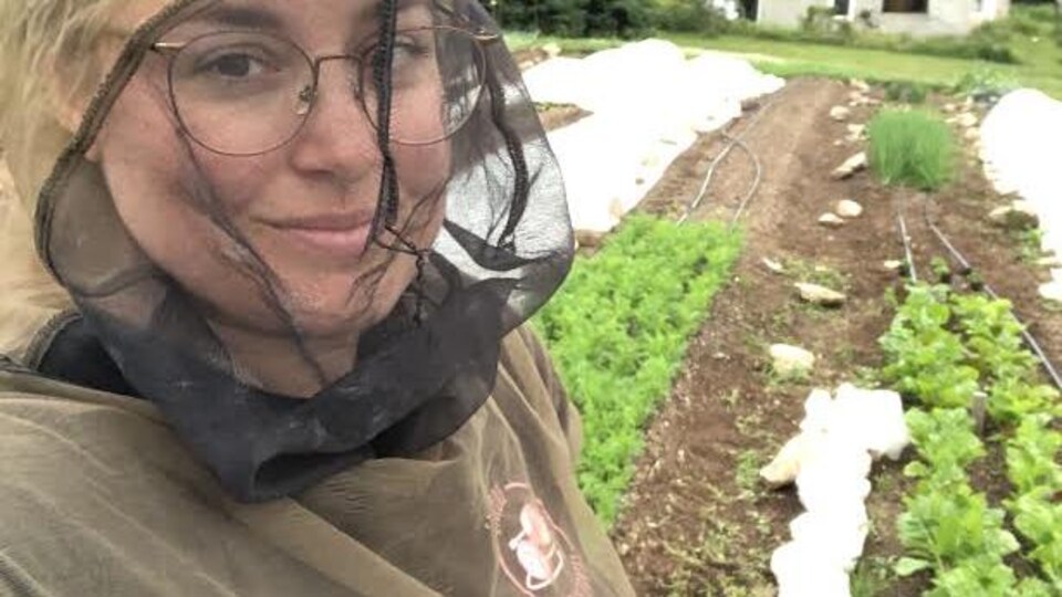 Passer ses vacances à travailler sur une ferme