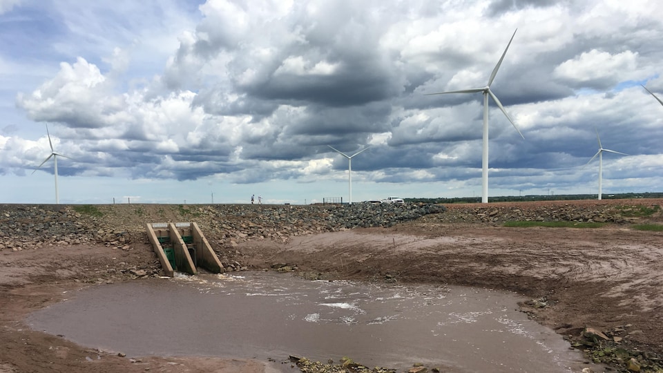 Aboiteau 2.0: une vieille technique acadienne protège des terres ...