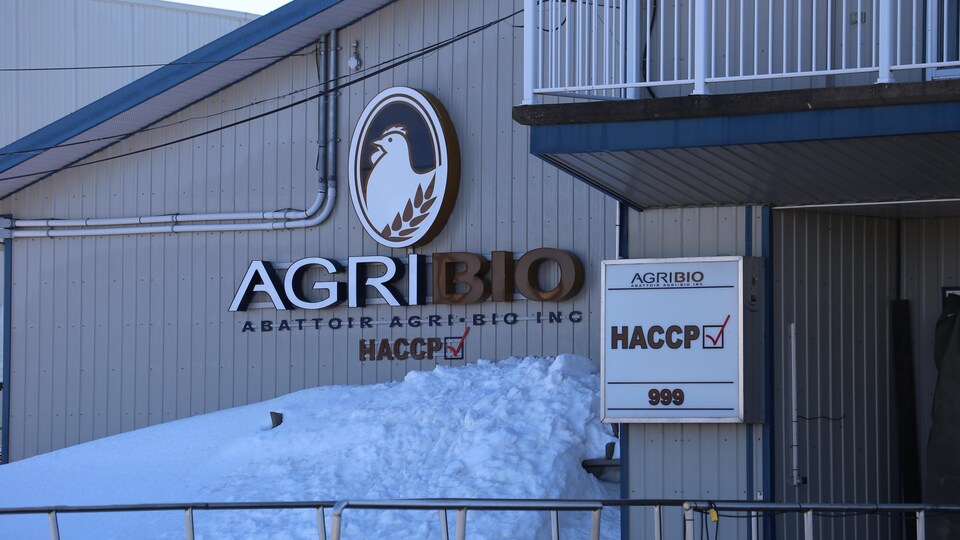 La fermeture d’un abattoir à Saint-Agapit menace des dizaines d’emplois | Radio-Canada.ca