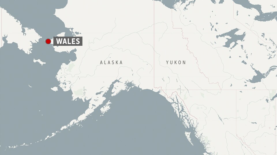 Dans une attaque rare, un ours polaire tue deux personnes en Alaska ...
