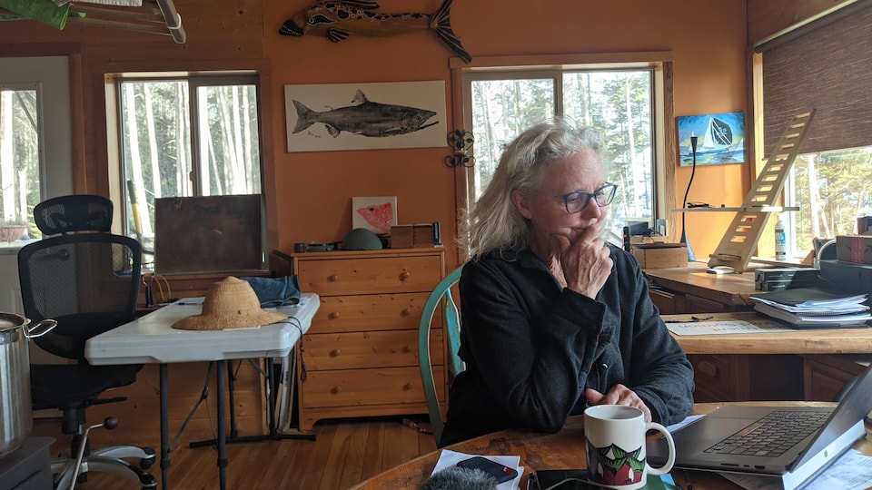 En attendant une aquaculture plus durable, le saumon est en crise dans ...