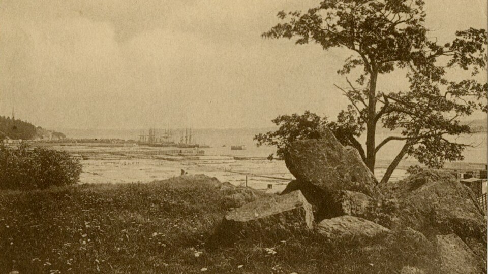 Le sentier des Grands-Domaines-de-Sillery accessible avant son ouverture officielle | Radio ...