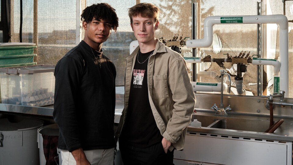 Leur recette aux grillons les propulse dans un concours international!