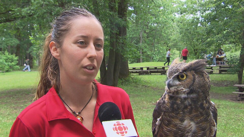Les oiseaux de proie à l’honneur le temps d’une conférence à Sainte ...