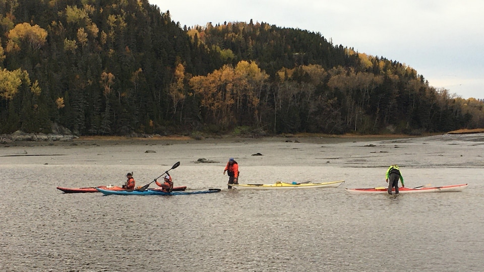 L’aventure commence pour deux kayakistes entre Saguenay et Percé ...