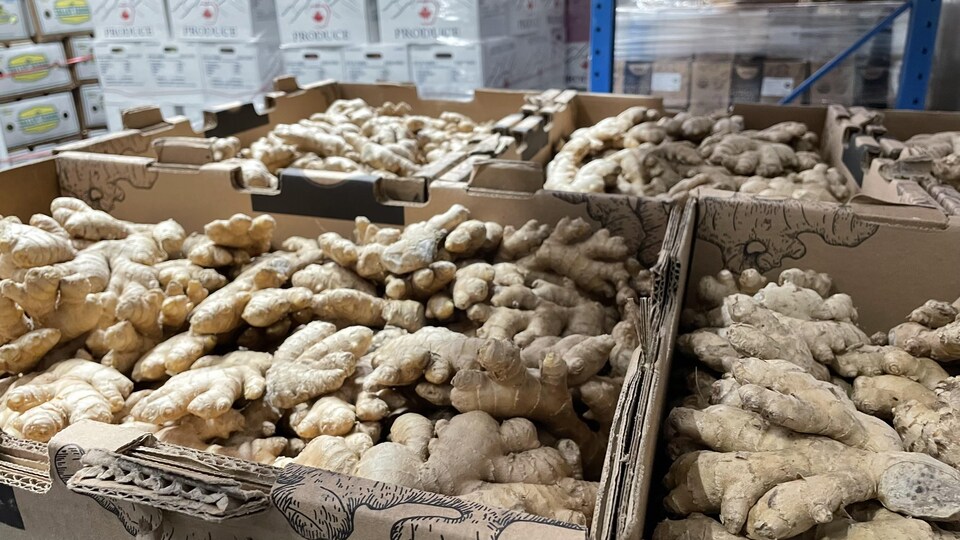 40 ans de banques alimentaires dans le Grand Vancouver, tristement ...