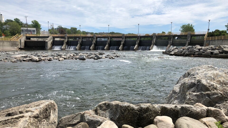 S'initier à la pêche au saumon sur la rivière Matane | Radio-Canada.ca