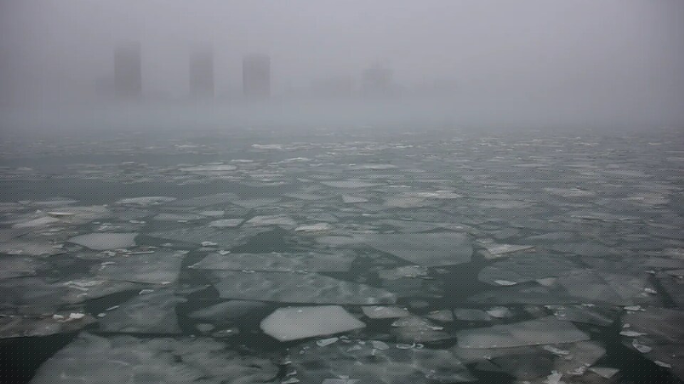 Un épais brouillard s’abat sur la région de Windsor | Radio-Canada.ca