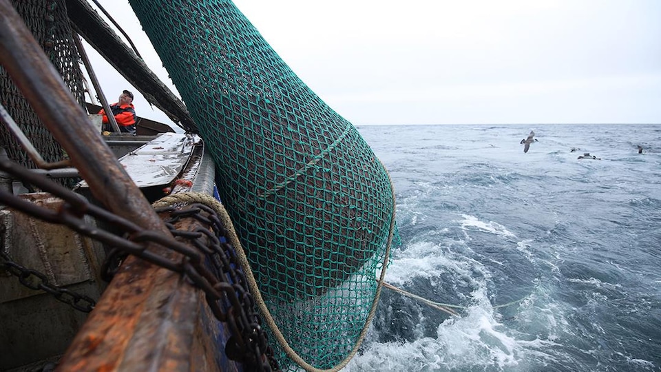 Le monde de la pêche à l'honneur dans un calendrier