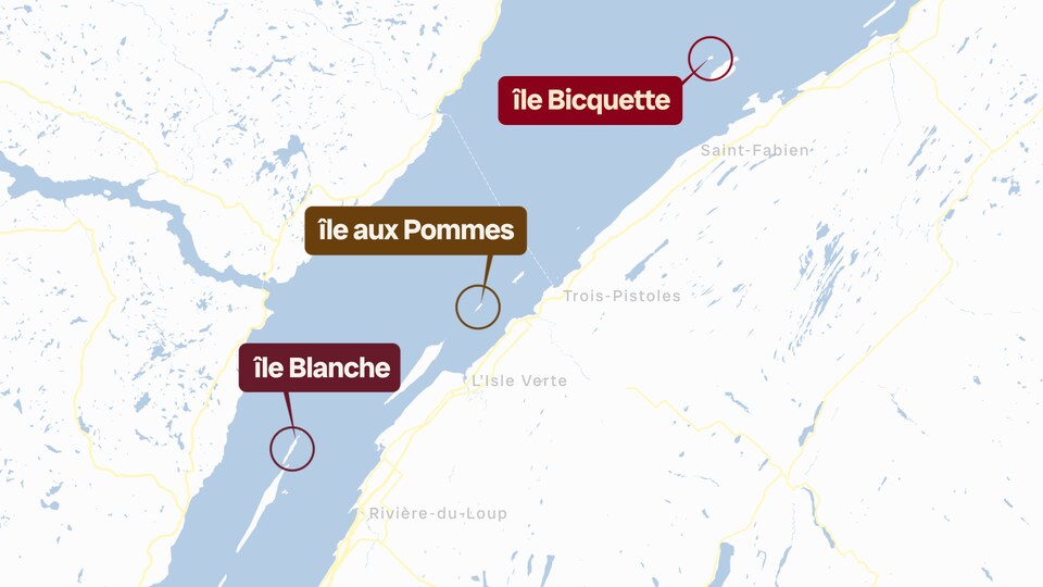 D﻿e 5 à 15 %﻿ des eiders à duvet morts de la grippe aviaire dans l ...