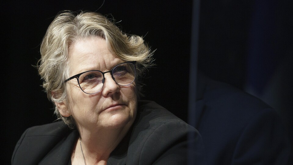 Une erreur humaine à l'origine de la fermeture du pont de l'Île-aux ...