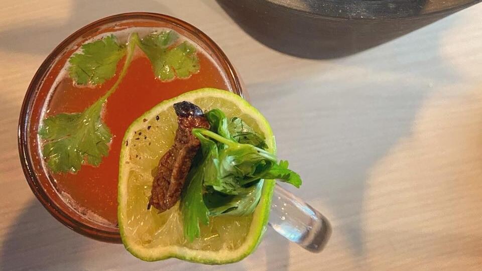 Mixologie : des ateliers d'accords cocktails-insectes!