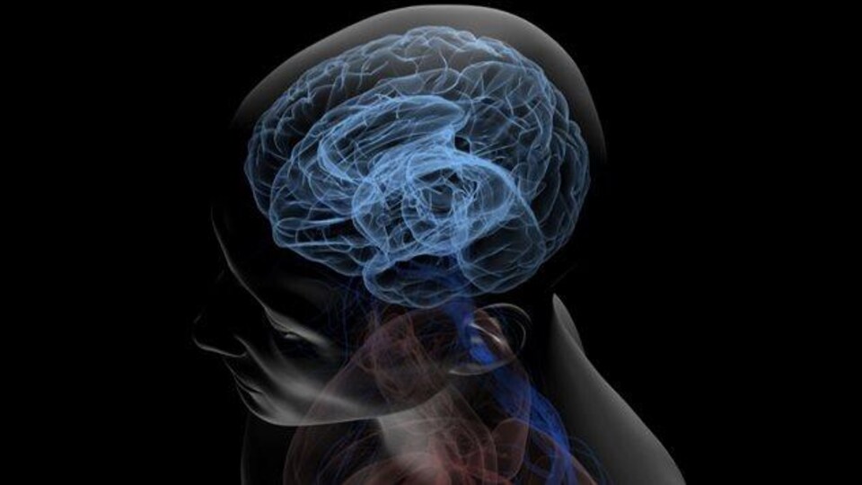 Diagnostiquer un traumatisme cérébral en 10 minutes | Radio-Canada.ca