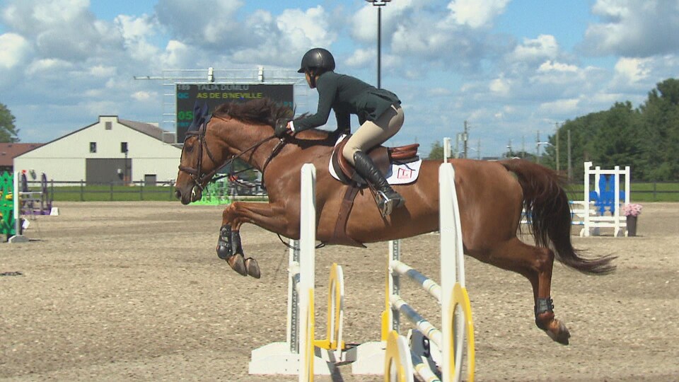 Entrevue avec Christian Ethier, consultant au Complexe Équestre Bécancour