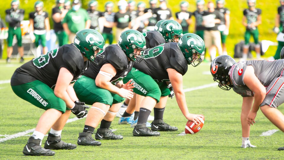 Football collégial : les Gaillards et les Couguars confiants pour les ...