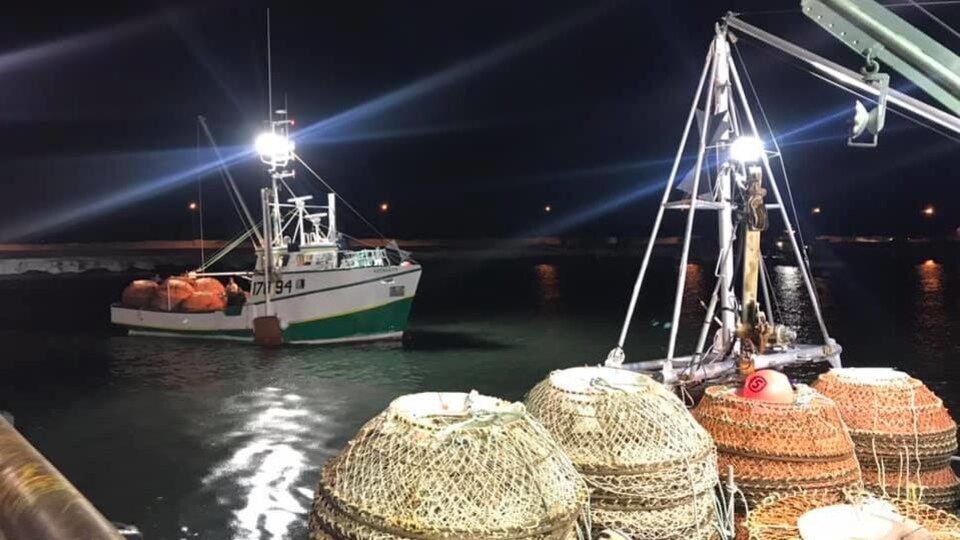 Début de la pêche au crabe des neiges, un crustacé de plus en plus ...