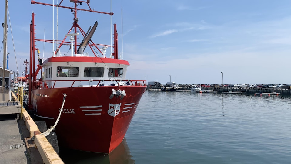 Les crevettiers du Nouveau-Brunswick partent enfin à la pêche | Radio ...