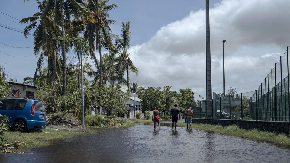 Cyclone Belal : témoignage d'un Sherbrookois en direct de la Réunion
