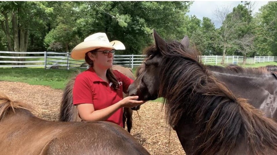 « Des chevaux sacrés » pour en apprendre plus sur les Autochtones ...