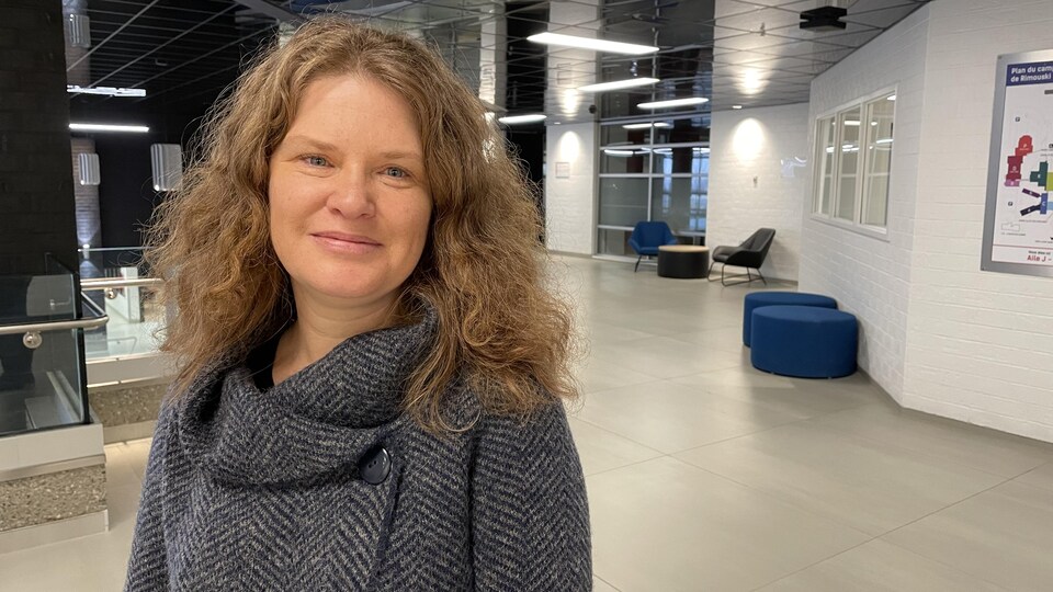 Des minimaisons à Price pour contrer la crise du logement | Radio-Canada.ca