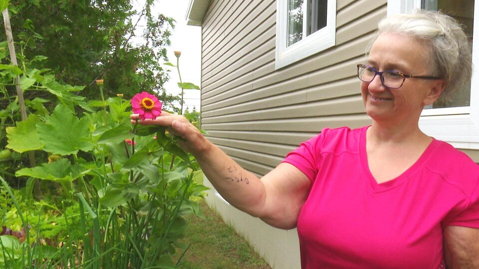 De mystérieuses graines envoyées de Chine sèment l'inquiétude | Radio ...