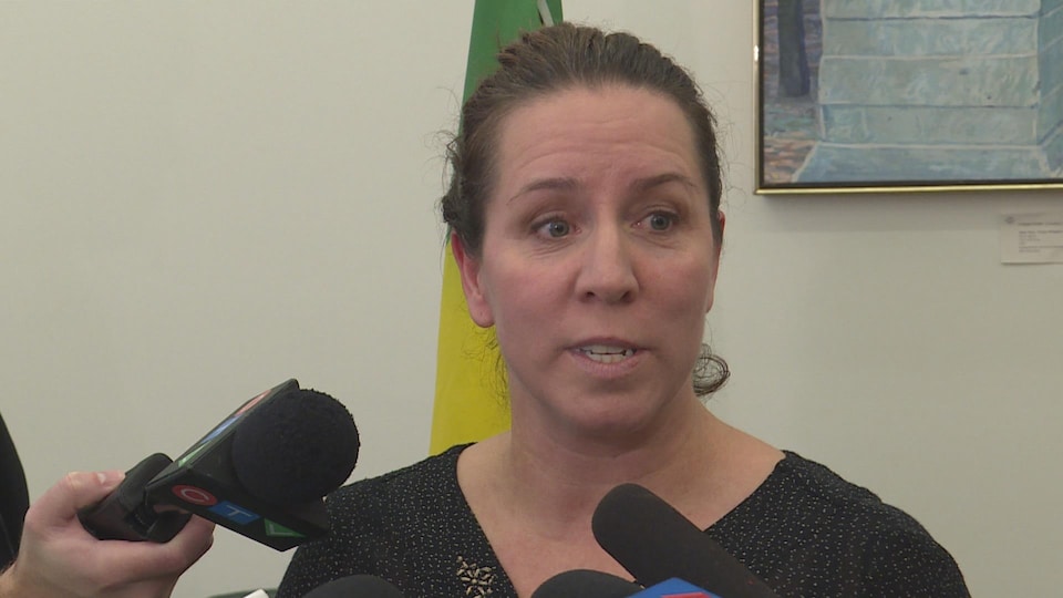 La députée néo-démocrate Danielle Chartier quittera la politique après ...