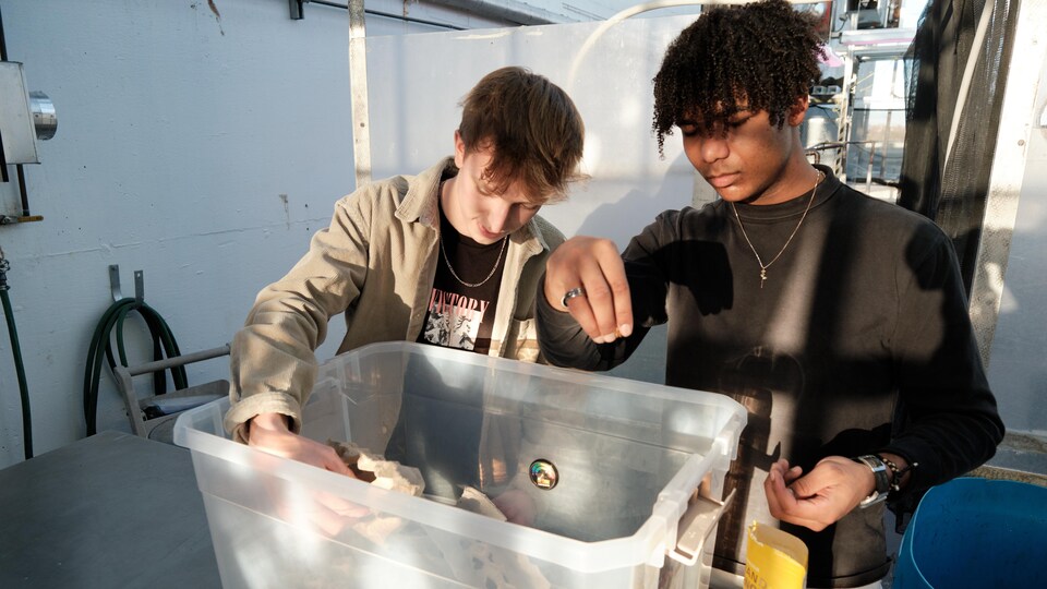 Leur recette aux grillons les propulse dans un concours international!