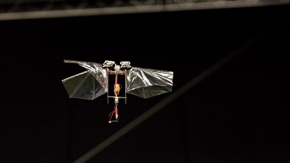 L’avez-vous vu? La voiture de demain et un drone qui se prend pour une ...