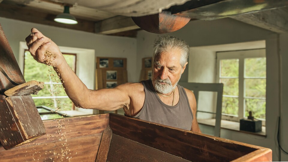 La relève des meuniers québécois