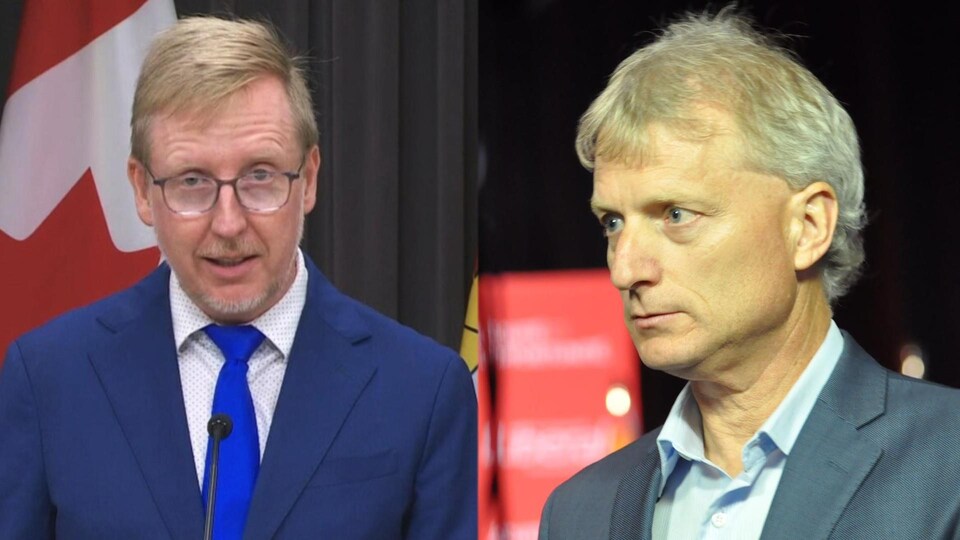 Les députés devraient-ils pouvoir participer aux travaux en mode virtuel?