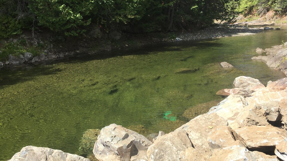 Une usine de filtration d'eau au coût de 4 M $ à Petit-Rocher | Radio ...