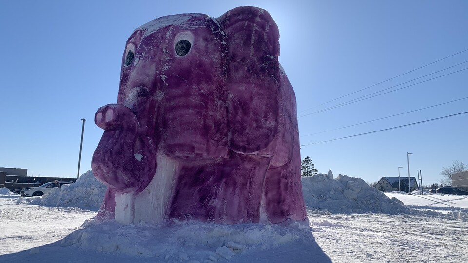 Un spectacle devant le désormais célèbre éléphant de Neguac | Radio ...