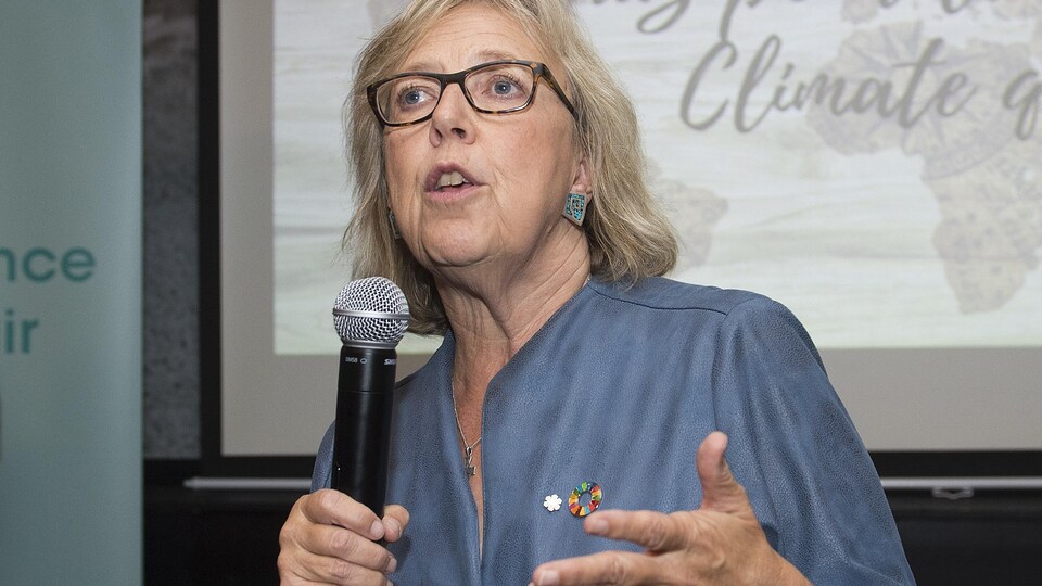 Le Parti vert propose lui aussi une déclaration de revenus unique pour ...