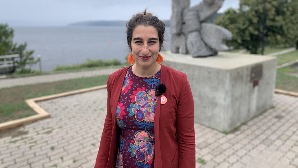 Élections provinciales : plaidoyer pour le retour des pouvoirs en Abitibi-Témiscamingue ...