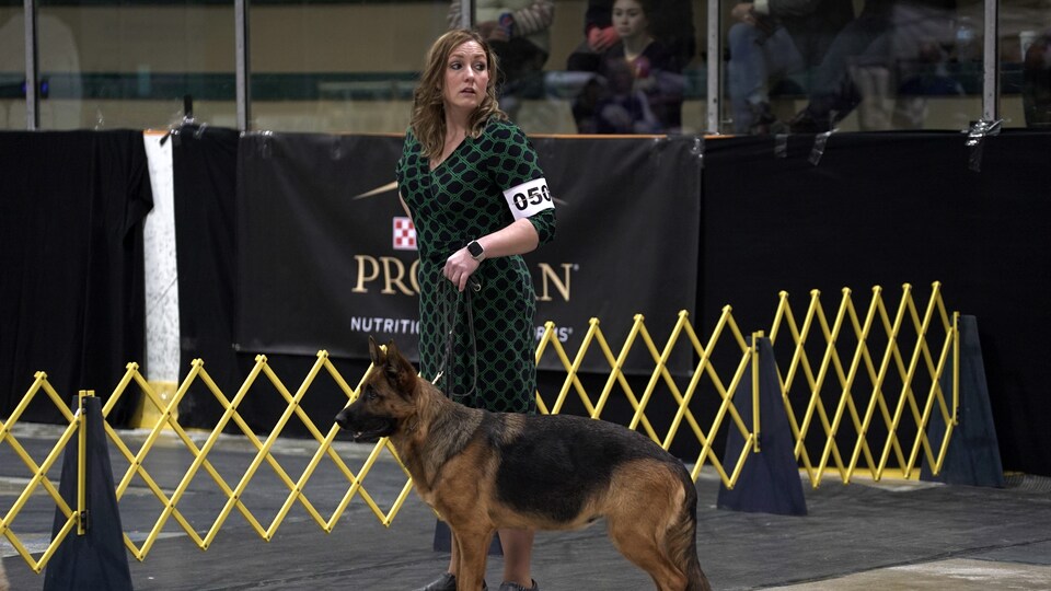 Des amateurs de chiens rassemblés dans le Grand Sudbury pour Pâques ...