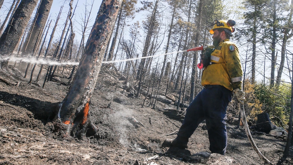 Journée éprouvante pour les pompiers en Nouvelle-Écosse, où 16 feux de ...