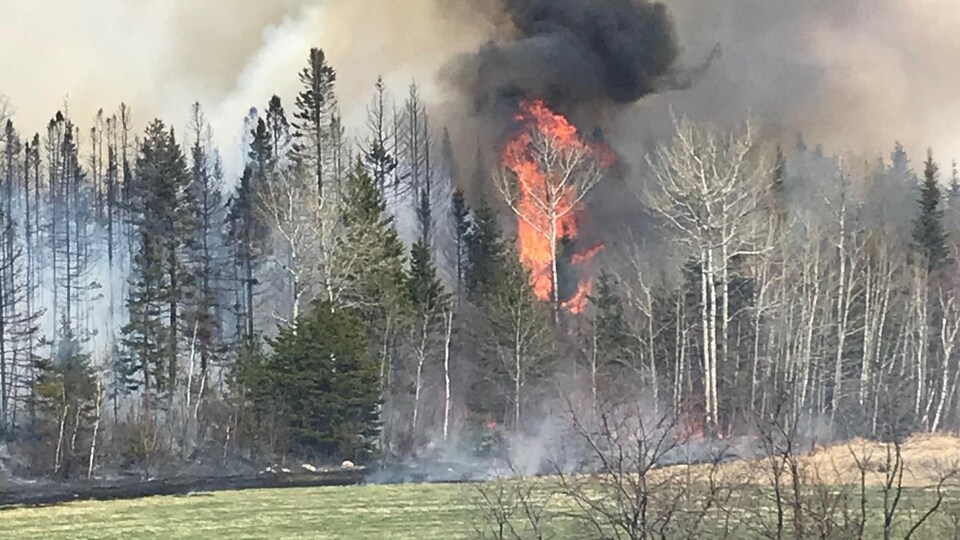 Cinq nouveaux feux de forêt dans le Nord de l’Ontario | Radio-Canada.ca